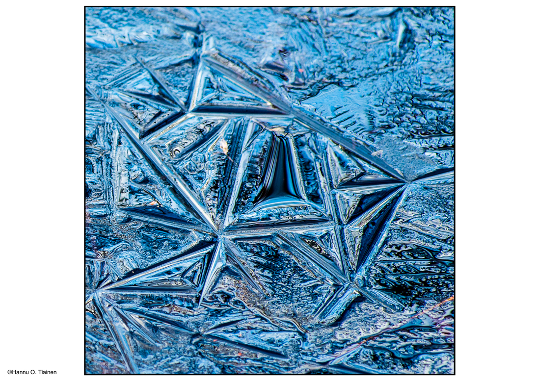 Tallipäivä 12.2.2020 – Aarnen talli